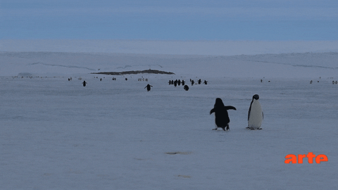 Partir GIFs - Get the best GIF on GIPHY