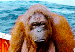 2024 wishes | Trawler Forum