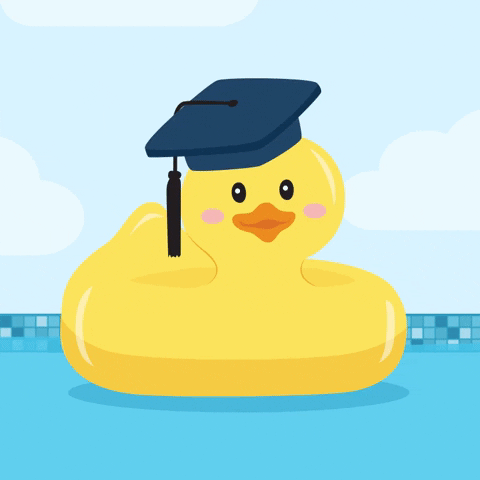 Graduation Graduate GIF - Find & Share on GIPHY