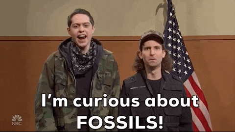 Living-fossil GIFs - Get the best GIF on GIPHY
