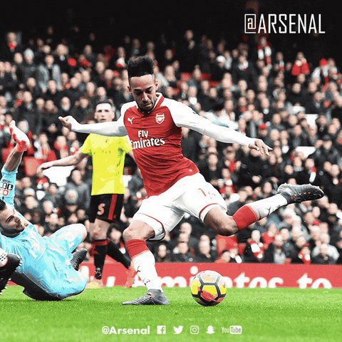 Emirates Stadium Soccer GIF by Arsenal - Find & Share on GIPHY
