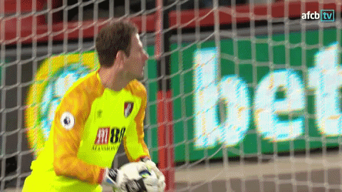 Football Soccer GIF by AFC Bournemouth - Find & Share on GIPHY