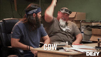 Polish Cow Clips - Find & Share on GIPHY