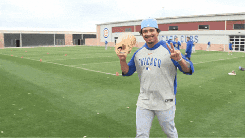 Chicago Cubs GIFs on GIPHY - Be Animated