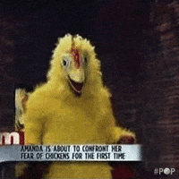 Scared Chicken Gif