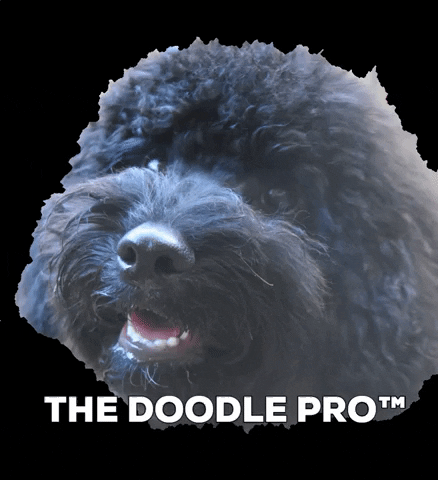 Black Dog GIF by doodlepro - Find & Share on GIPHY