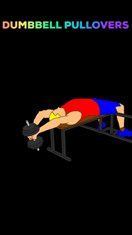 Over-the-bench GIFs - Get the best GIF on GIPHY