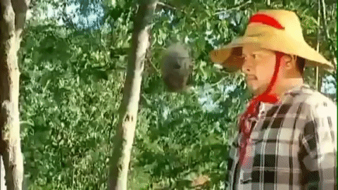 Nay-htoo-naing GIFs - Get the best GIF on GIPHY