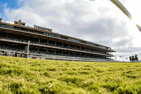 Kentucky Derby place your bets here - Page 53 - Survivor Sucks