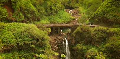 Hawaii North Shore GIFs - Find & Share on GIPHY
