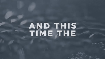 All In GIFs - Find & Share on GIPHY