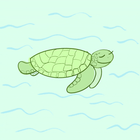 Sea Turtle Gif