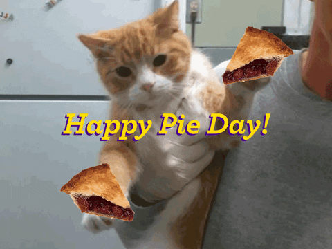 Pie Day GIFs - Get the best GIF on GIPHY
