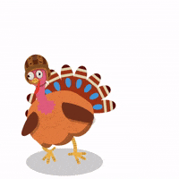 Animated Turkey Gif
