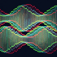 Gif Colorate Minimalist Color Wheel Animation GIF Find On GIFER