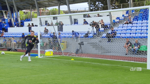 Selecao Brasileira Goleiro GIF by Confederação Brasileira de Futebol ...