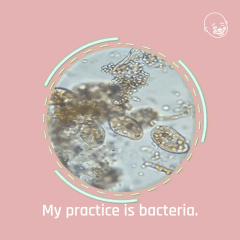 Frederiksberg water bacteria GIFs - Find & Share on GIPHY