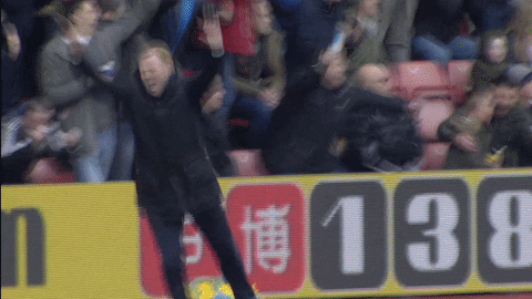 Happy Ronald Koeman GIF by Southampton FC - Find & Share on GIPHY