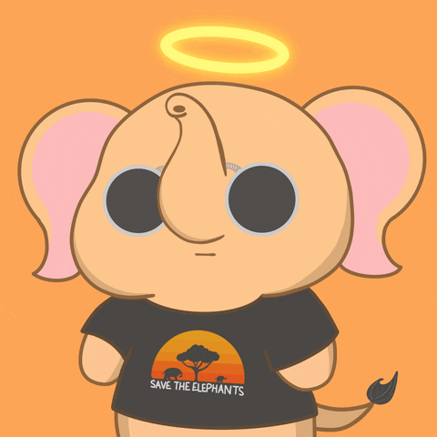 Save-the-elephant GIFs - Get the best GIF on GIPHY