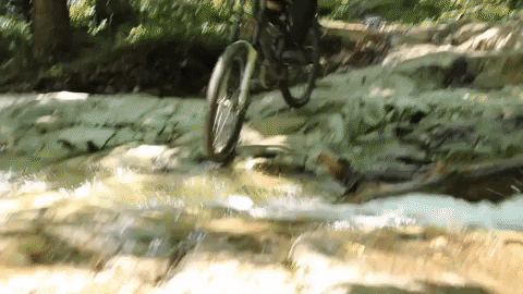 Downhill Mountain Bike GIFs - Get the best GIF on GIPHY