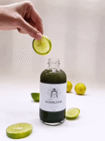 Fresh Drink GIFs - Get the best GIF on GIPHY