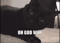 Oh God Why Gif