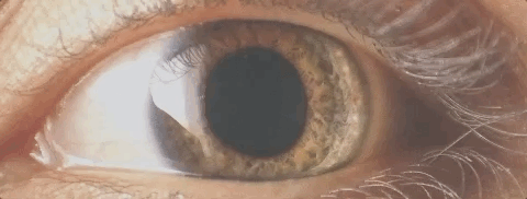 Eye Watching GIF by Kacey Musgraves - Find & Share on GIPHY