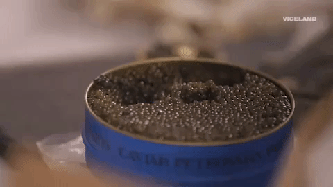 National Caviar Day GIF by F*CK, THAT'S DELICIOUS - Find & Share on GIPHY