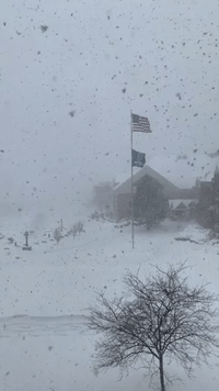 Snow Storm Animated Gif