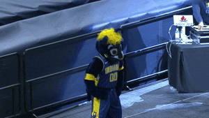 Pacers-boomer GIFs - Get the best GIF on GIPHY