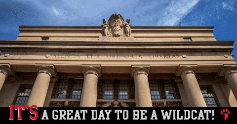 Its A Great Day To Be A Wildcat GIFs - Get the best GIF on GIPHY