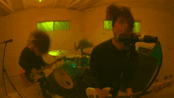 The Bass Player GIFs - Find & Share on GIPHY