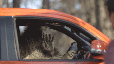 Sasquatch Hello GIF by BlackPowderWorks - Find & Share on GIPHY