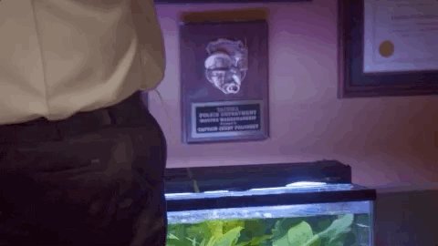 Fish Police GIF by Tacoma FD - Find & Share on GIPHY