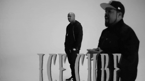 Ice Cube GIFs on GIPHY - Be Animated