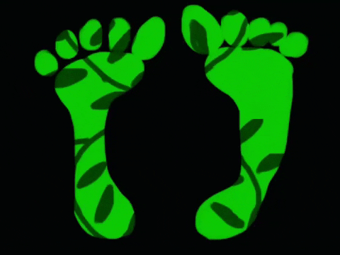 Green Nature GIFs - Get the best GIF on GIPHY