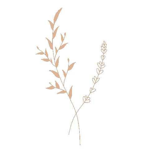 Boho Tumblr Banners Gif