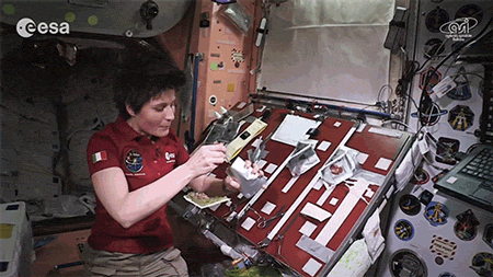 Space Tacos GIFs - Get the best GIF on GIPHY