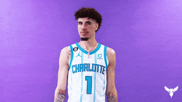 LaMelo Ball GIFs on GIPHY - Be Animated