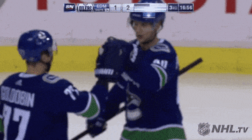 Vancouver Canucks GIFs on GIPHY - Be Animated