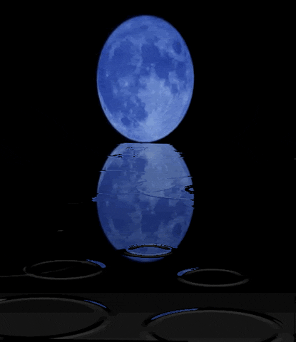 Blue Moon GIFs - Get the best GIF on GIPHY
