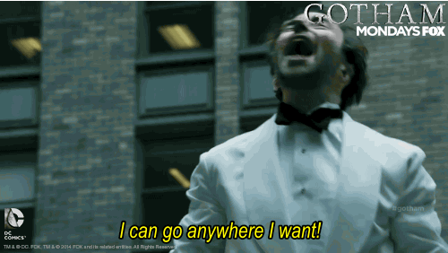 Wan-can GIFs - Get the best GIF on GIPHY