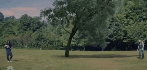 Swaying Tree GIFs - Find & Share on GIPHY