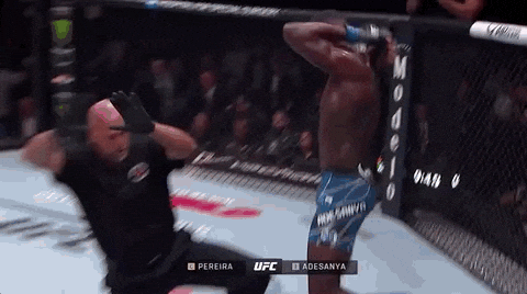 Every Epic UFC287 GIF You Need To See! by Sports GIFs | GIPHY