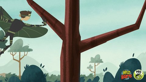 Watch Out For That Tree GIFs - Get the best GIF on GIPHY