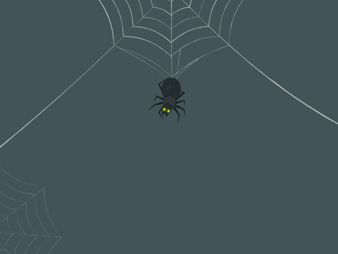 Spider Animation GIFs - Get the best GIF on GIPHY