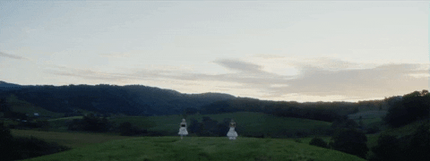 Samia - Sea Lions GIFs on GIPHY - Be Animated