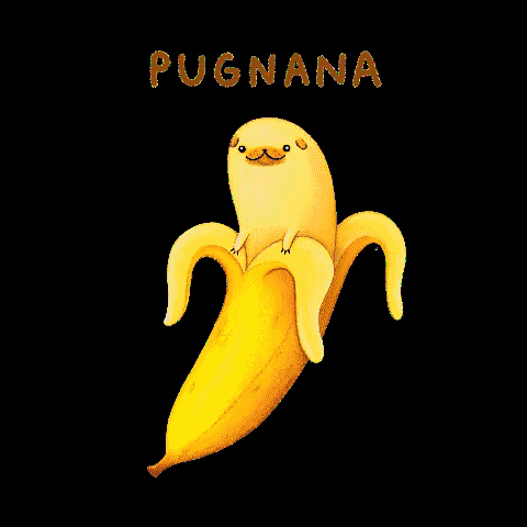 Pugtato GIFs - Get the best GIF on GIPHY