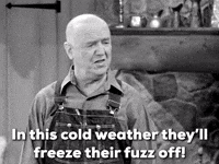 The-fuzz GIFs - Get the best GIF on GIPHY