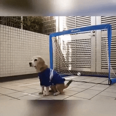 Goalkeeper GIFs - Find & Share on GIPHY